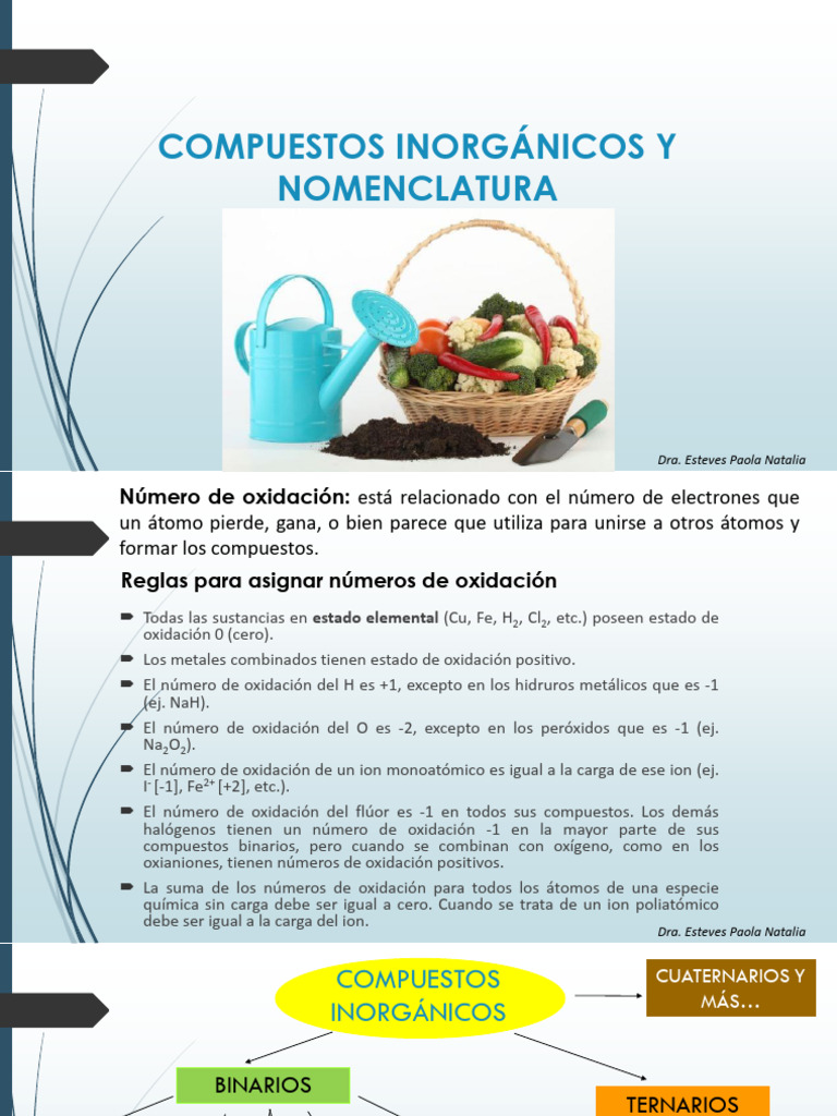 2 - Nomenclatura de Compuestos Inorgánicos | PDF | Ácido | Redox