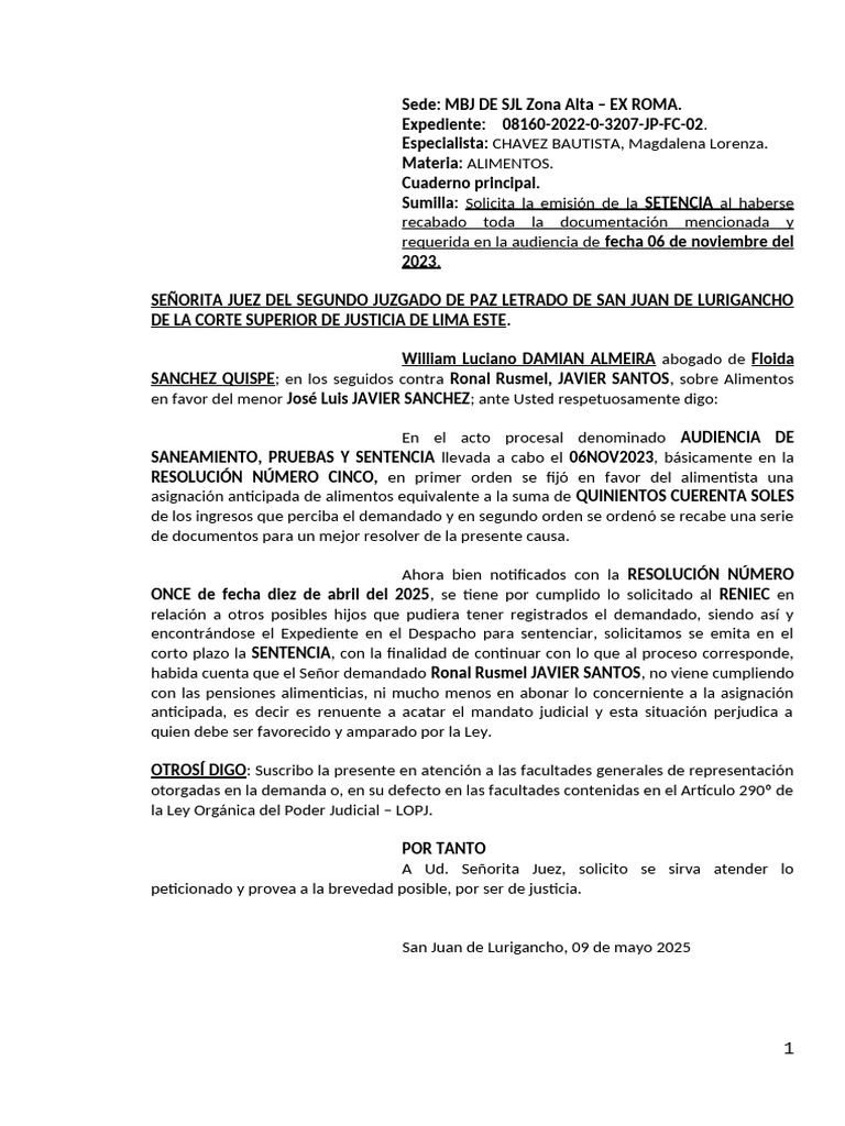 EXP. 08160-2022 Se Emita Sentencia, RESOL 11 | PDF | Demanda judicial ...