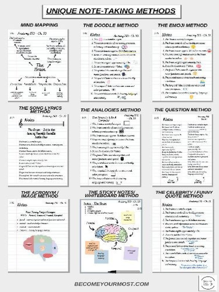 Study Tips Ik | PDF