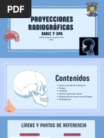 Estudio Radiográfico de Cavum Rinofaringeo | PDF | Cabeza y cuello ...