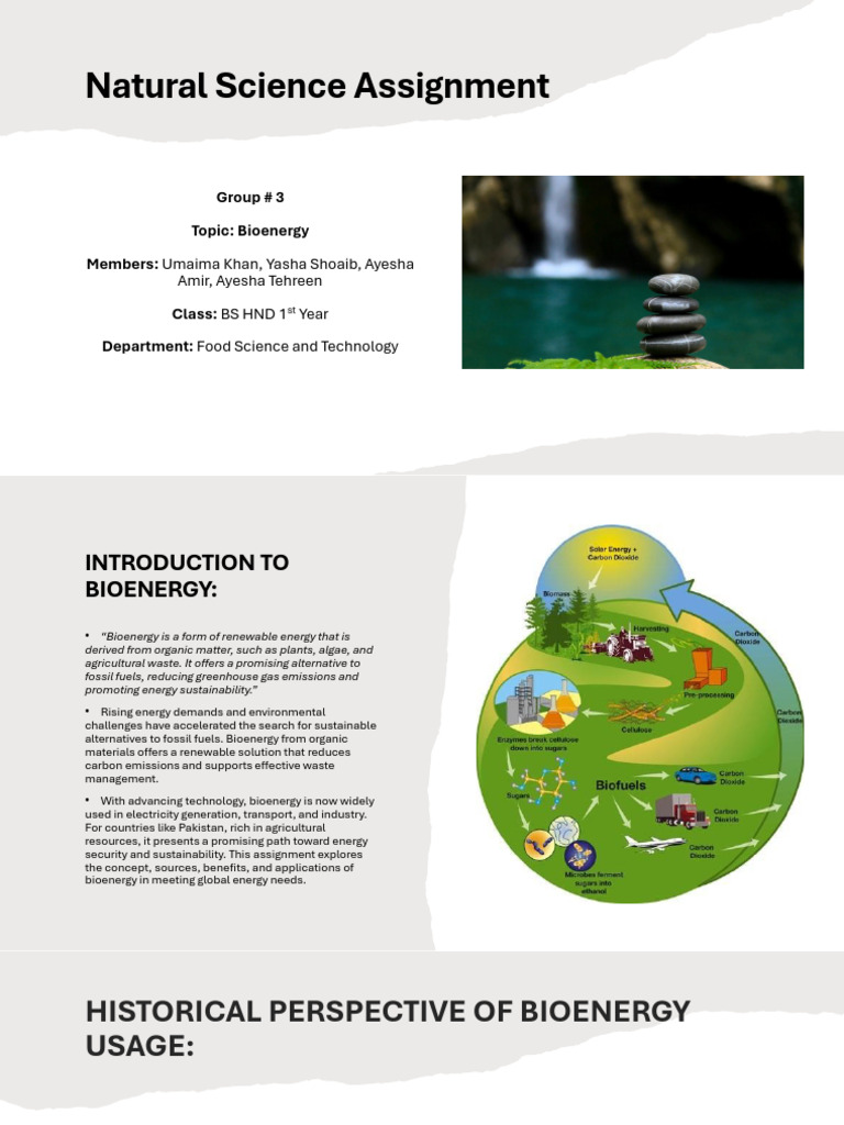 Natural Science Assignment | PDF | Biofuel | Bioenergy
