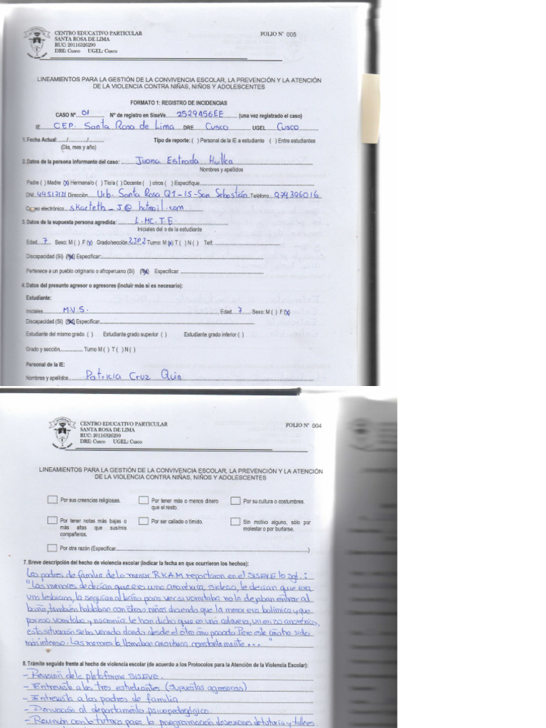 Registro de Incidencia | PDF