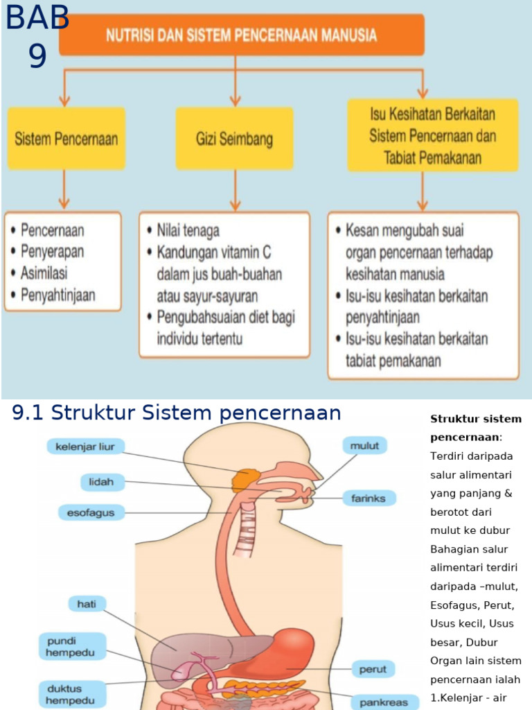 t4 b9 - Nutrisi Dan Pencernaan Biologi | PDF