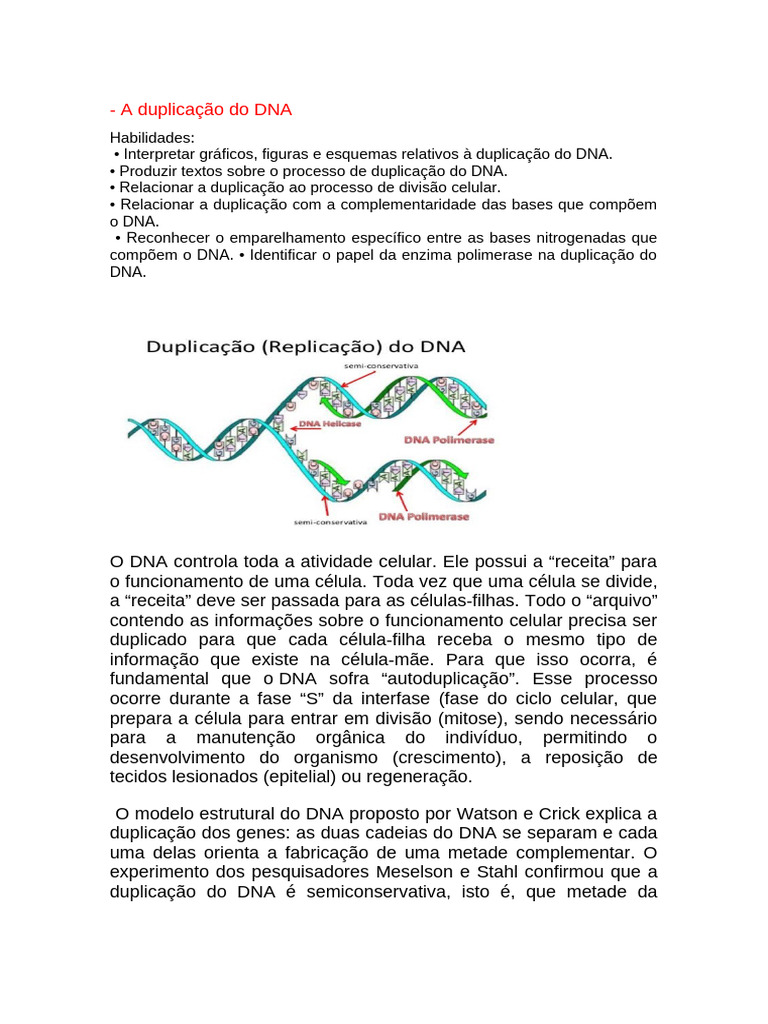 Duplicação (replicação) do DNA- | PDF | DNA | Replicação de DNA