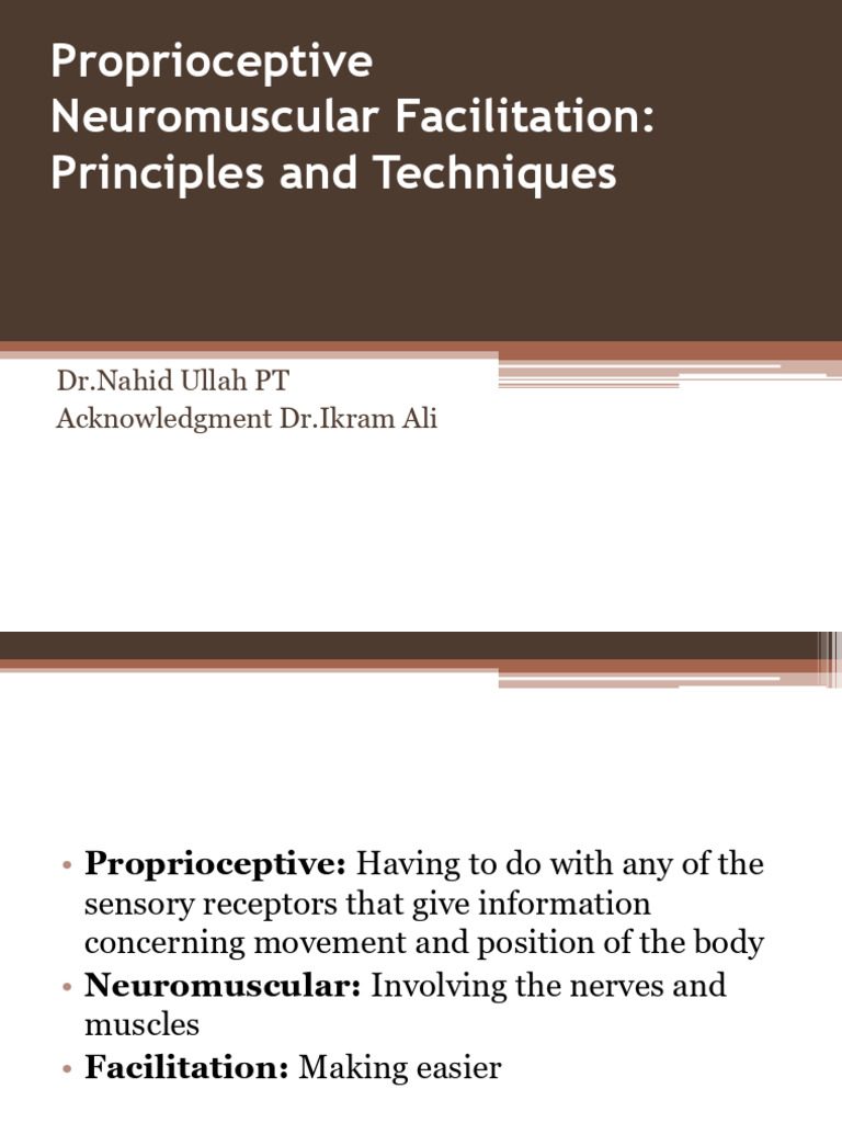 PNF 1 Introduction New | PDF | Stimulus (Physiology) | Muscle Contraction