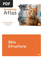 Canine Pruritus Visual Analog Scale | PDF
