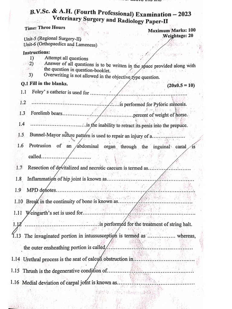 1719907195.VSR Paper-2, 2023 | PDF