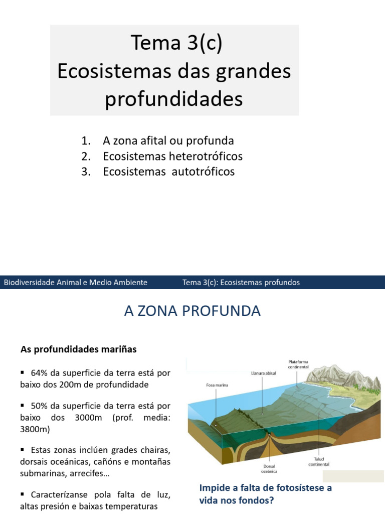 Tema 3 (C) - Grandes Profundidades | PDF