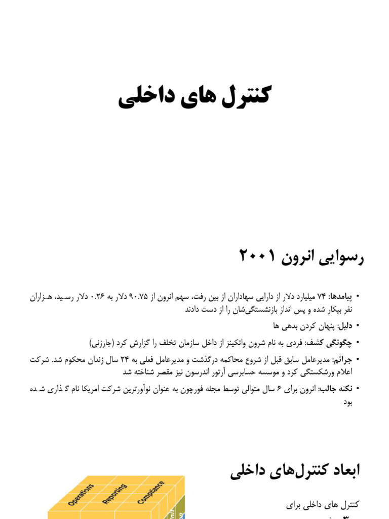 Internal Controls ch1 | PDF