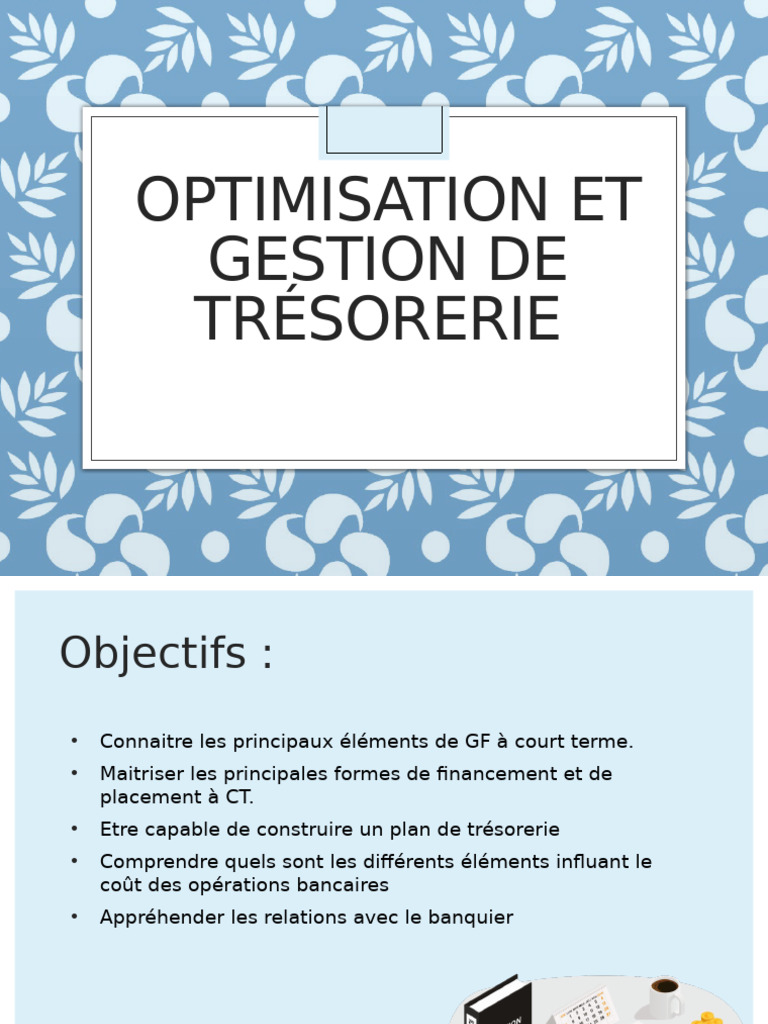 Optimisation Et Gestion de Trésorerie | PDF | Trésor | Bilan comptable