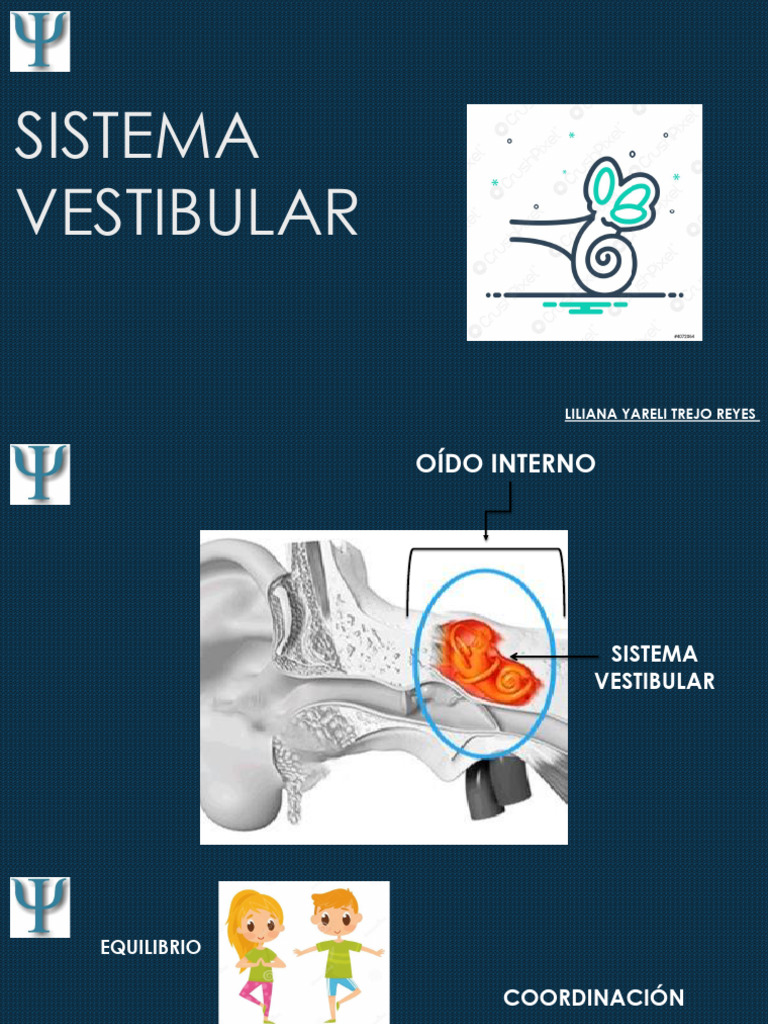 Presentación Sistema Vestibular y Visual | PDF | Ojo humano | Ojo