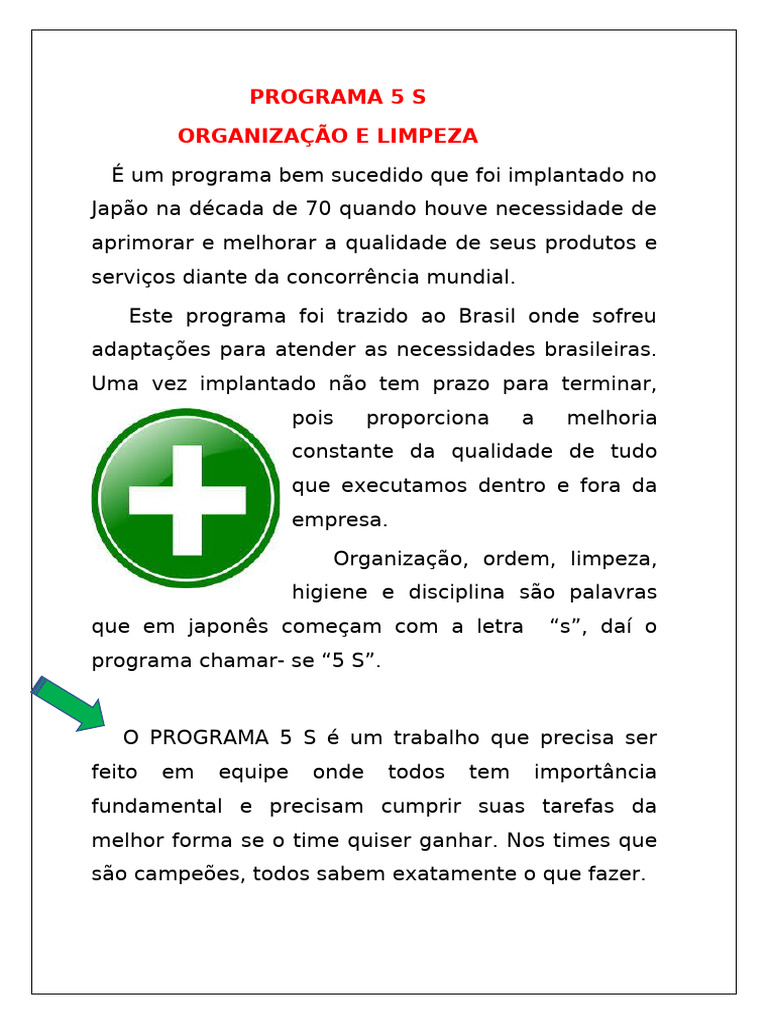 Programa 5 S (18-03-25) Ok | PDF | Qualidade (negócios) | Japão