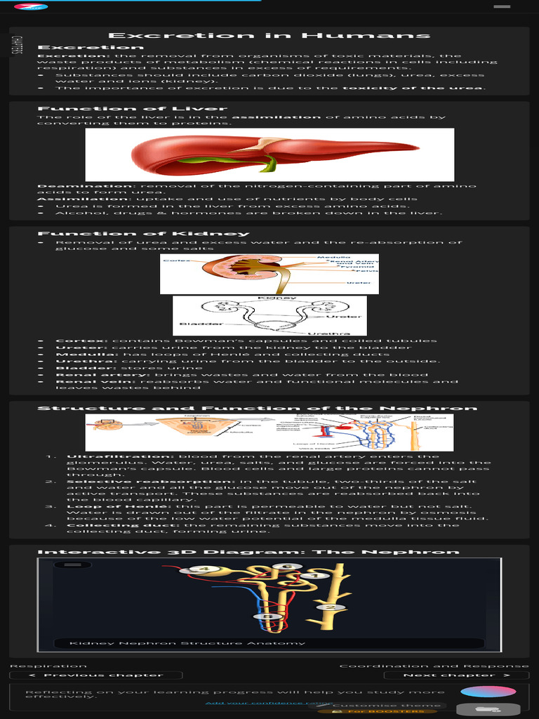 CAIE IGCSE Biology 0610 Theory Free Notes & Study Groups - ZNotes ...