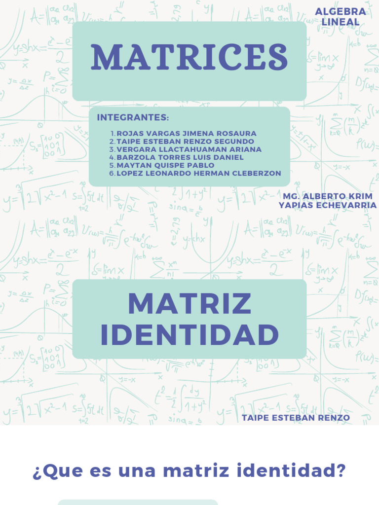 Matrices-Álgebra Lineal | PDF | Matriz (Matemáticas) | Determinante