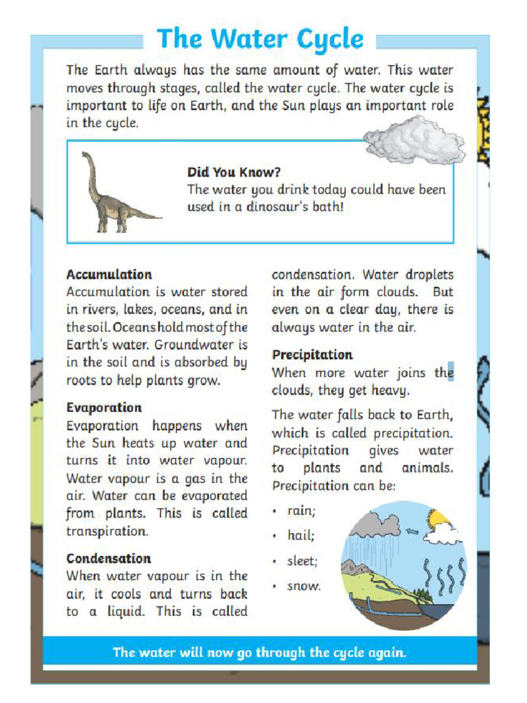 Water Cycle Worksheet | PDF