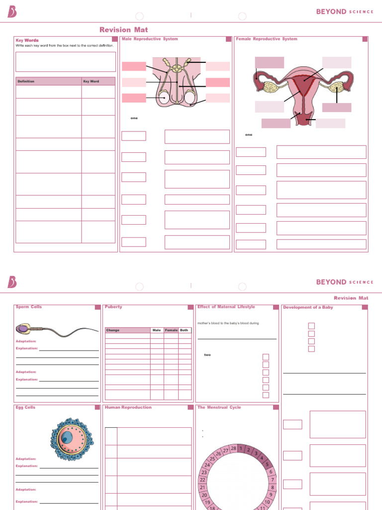 Human Reproduction Revision Mat HKI Jan 2025 | PDF | Reproductive ...