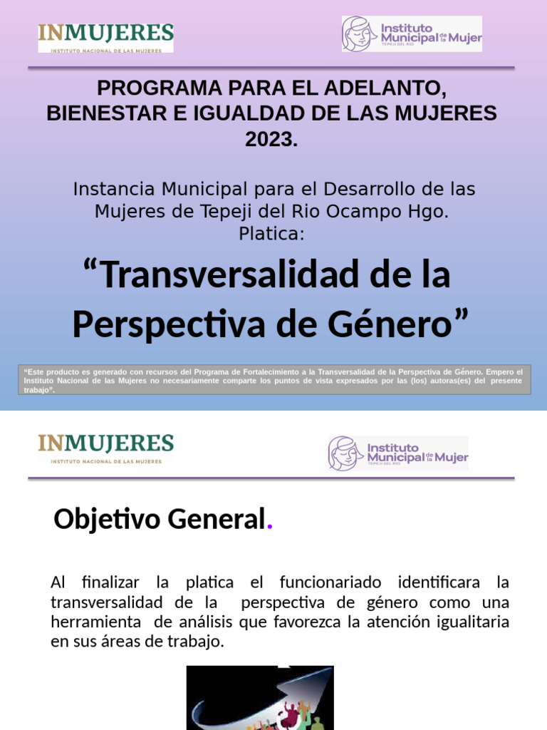 D. Platica Transversalidad PDG | PDF | Estudios de género | Igualdad de género