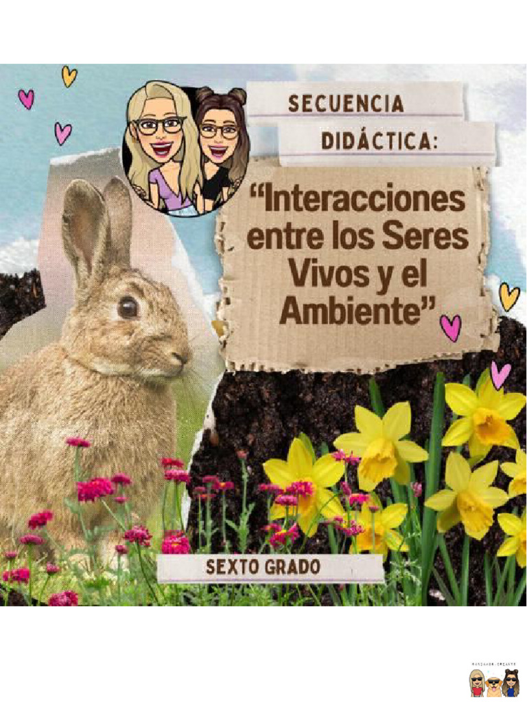Interacciones Seres Vivos y Ambiente 6to | PDF | Ecosistema | Nutrición