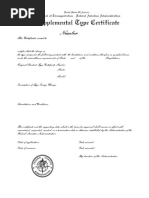 FAA Form 8100-9 | PDF