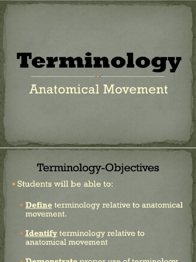 Anatomical Movements | PDF