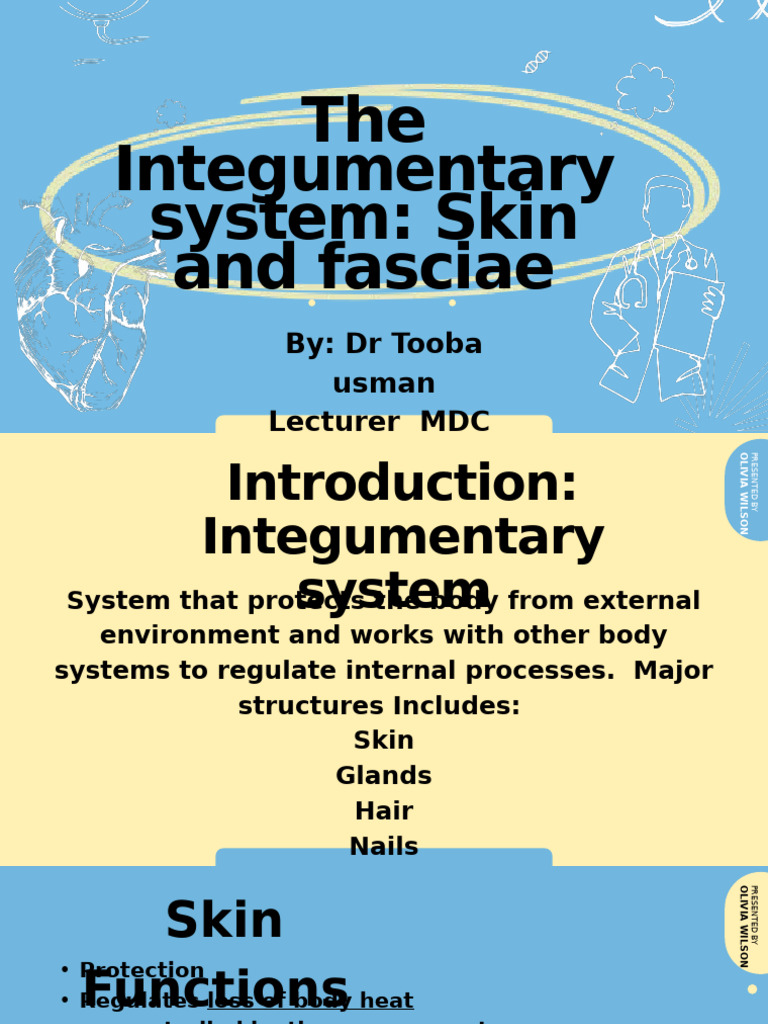The Integumentary System Skin and Fasciae - 20250502 - 092720 - 0000 ...