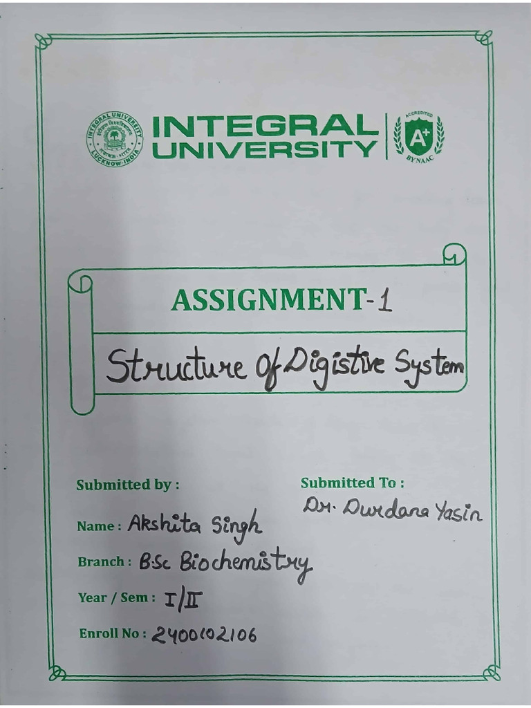 Assignment 1 | PDF