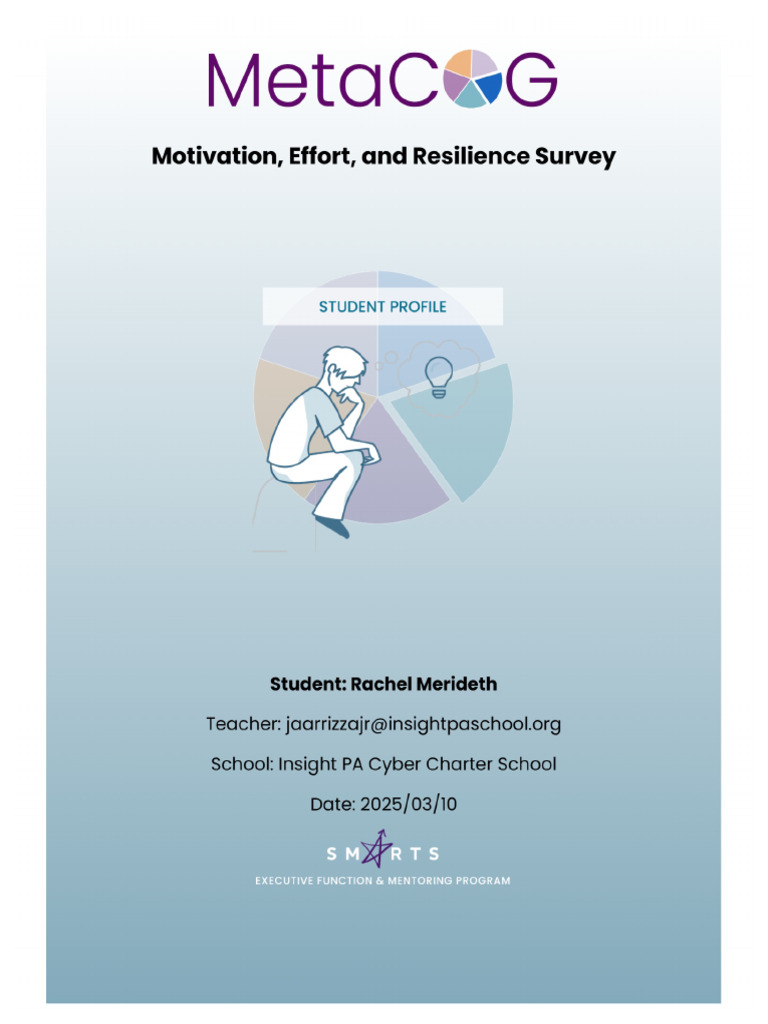 Rachel Merideth Metacog Student Profile 48465 | PDF