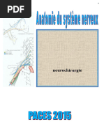 La Region de La Nuque | PDF | Vertèbre | Colonne vertébrale