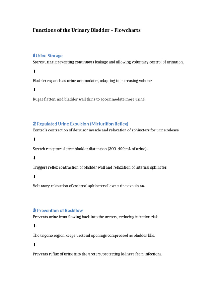 Urinary Bladder Functions Flowcharts | PDF