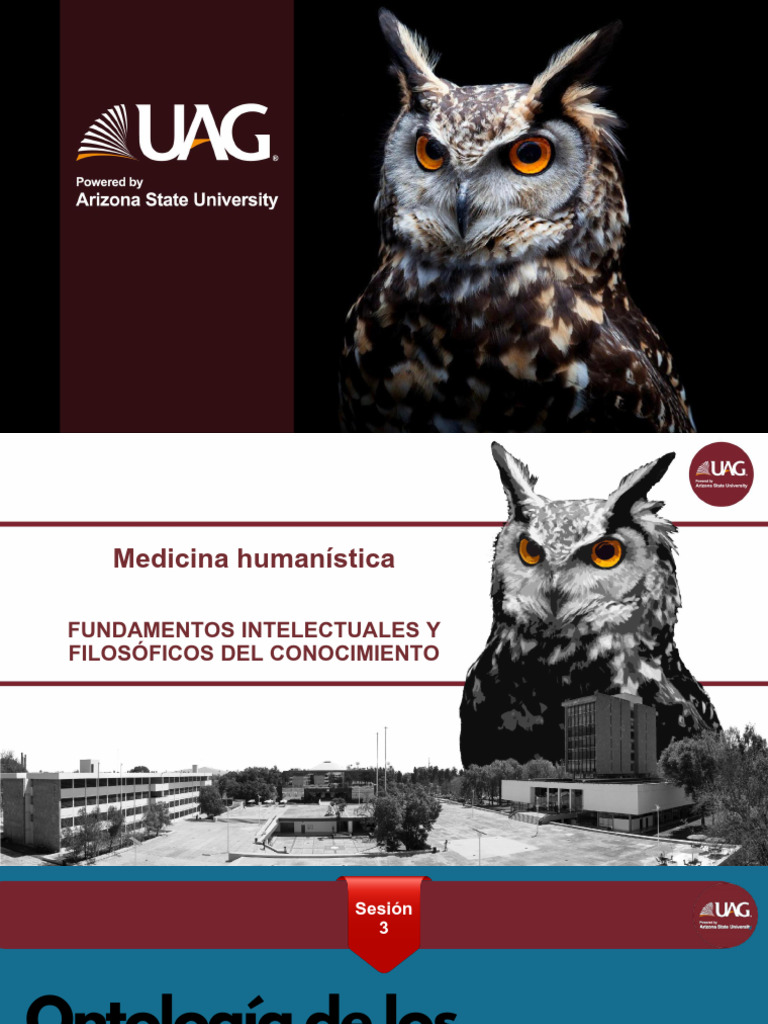 03.+FUNDAMENTOS+INTELECTUALES.+ONTOLOG%C3%8DA+DE+LOS+VALORES | PDF ...