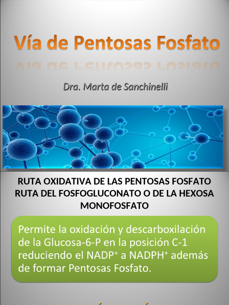 Pentosas Fosfato Animación | PDF