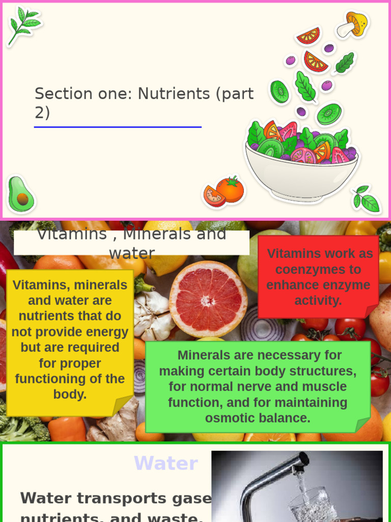 Schools Sama-American-School Courses Biology Materials 2025 Apr Week-1 ...