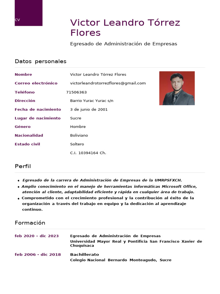 CV Victor Leandro Torrez Flores | PDF | Business | Bolivia