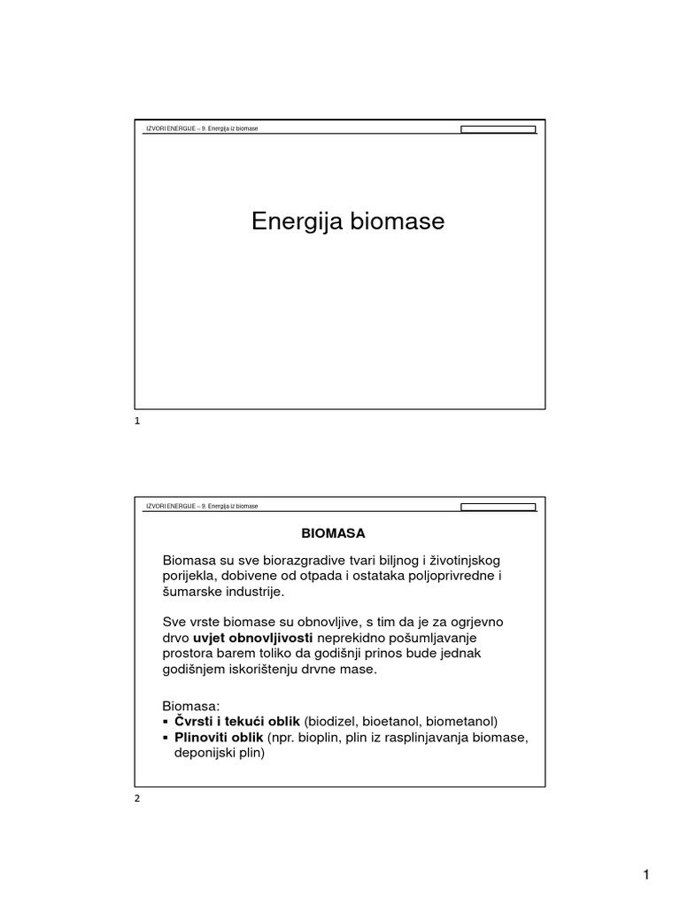 09 Biomasa | PDF