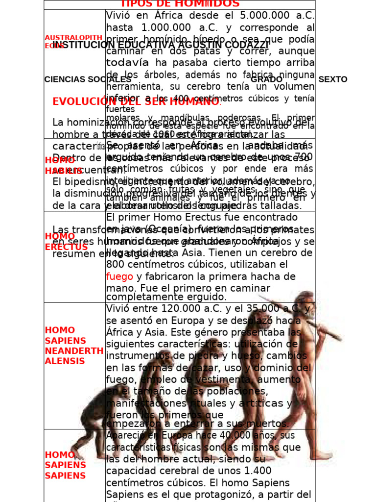 Historia - guia1EVOLUCION DEL SER HUMANO SEXTO | PDF | Homo | Humano