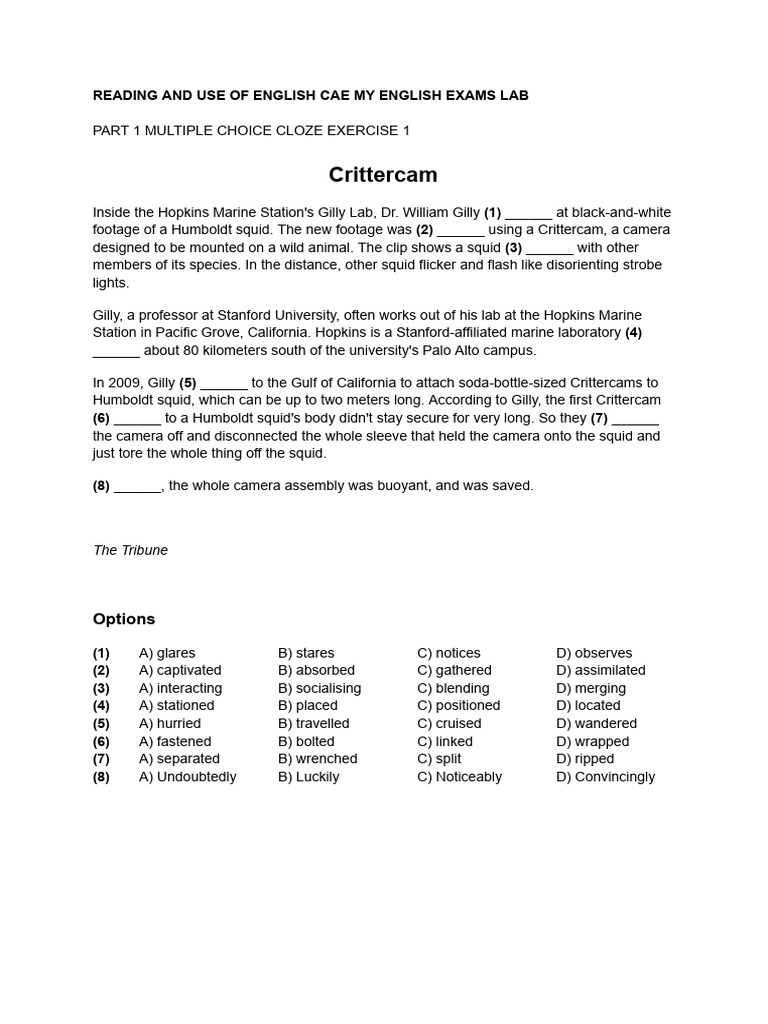 READING AND USE OF ENGLISH CAE MY ENGLISH EXAMS LAB Part 1 (1-10) | PDF ...