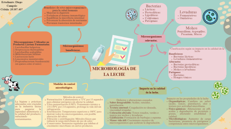 mapa mental microbiologia | PDF | Productos lácteos | Leche