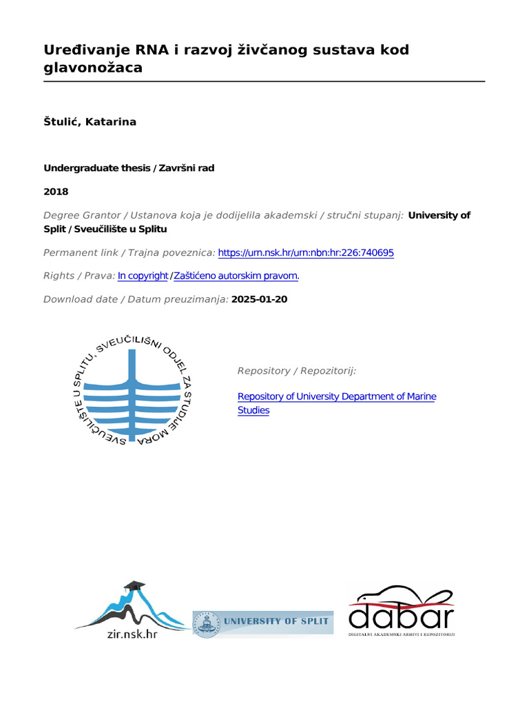 Zavrsni Rad Katarina Stulic | PDF