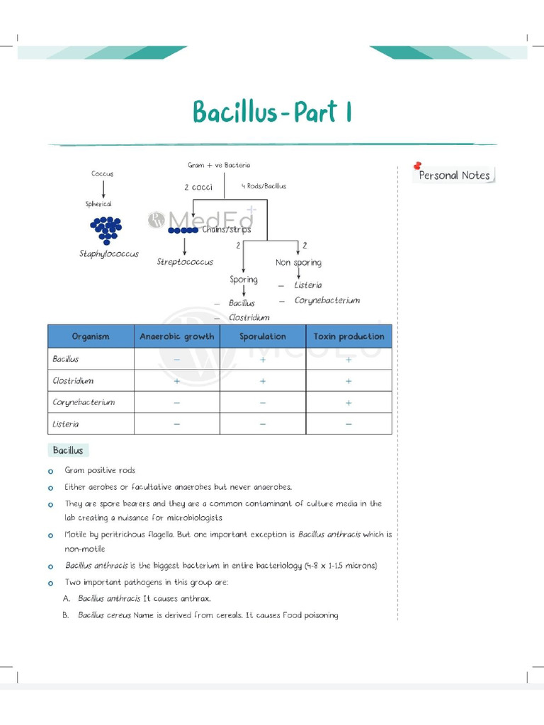 Bacteriology Part 1 | PDF