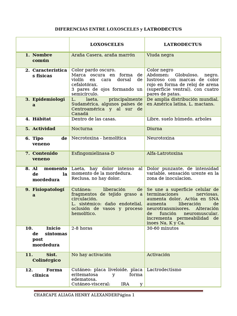 DIFERENCIAS ENTRE LOXOSCELES y LATRODECTUS | PDF