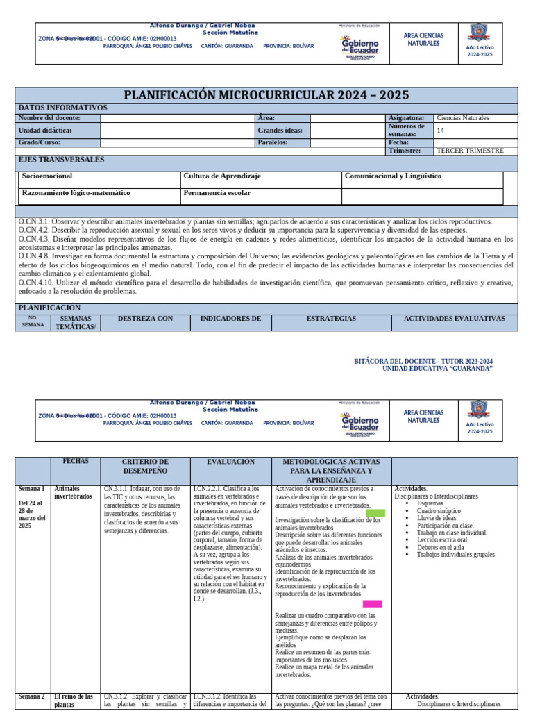 PLANIFICACION_8vo_CCNN_III | PDF | Universo | Invertebrado