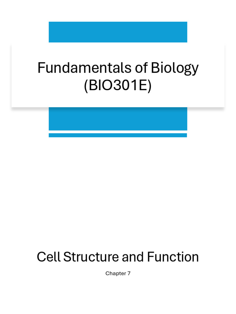 3 Cell Structure and Functions New | PDF | Endoplasmic Reticulum ...