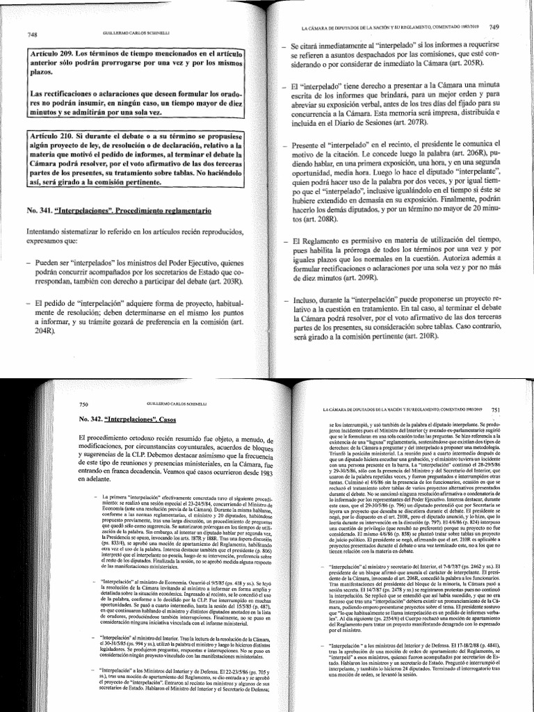 Procedimiento Schinelli | PDF | Gobierno | Gobernancia