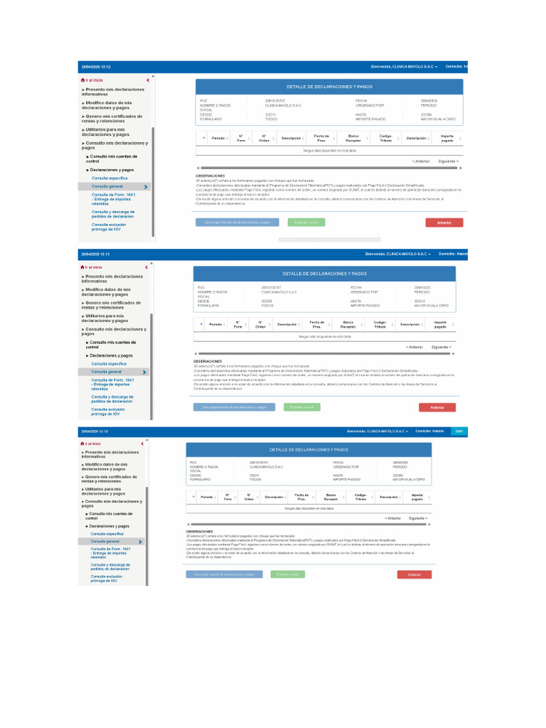 Declaraciones Sunat Ruc 20 | PDF