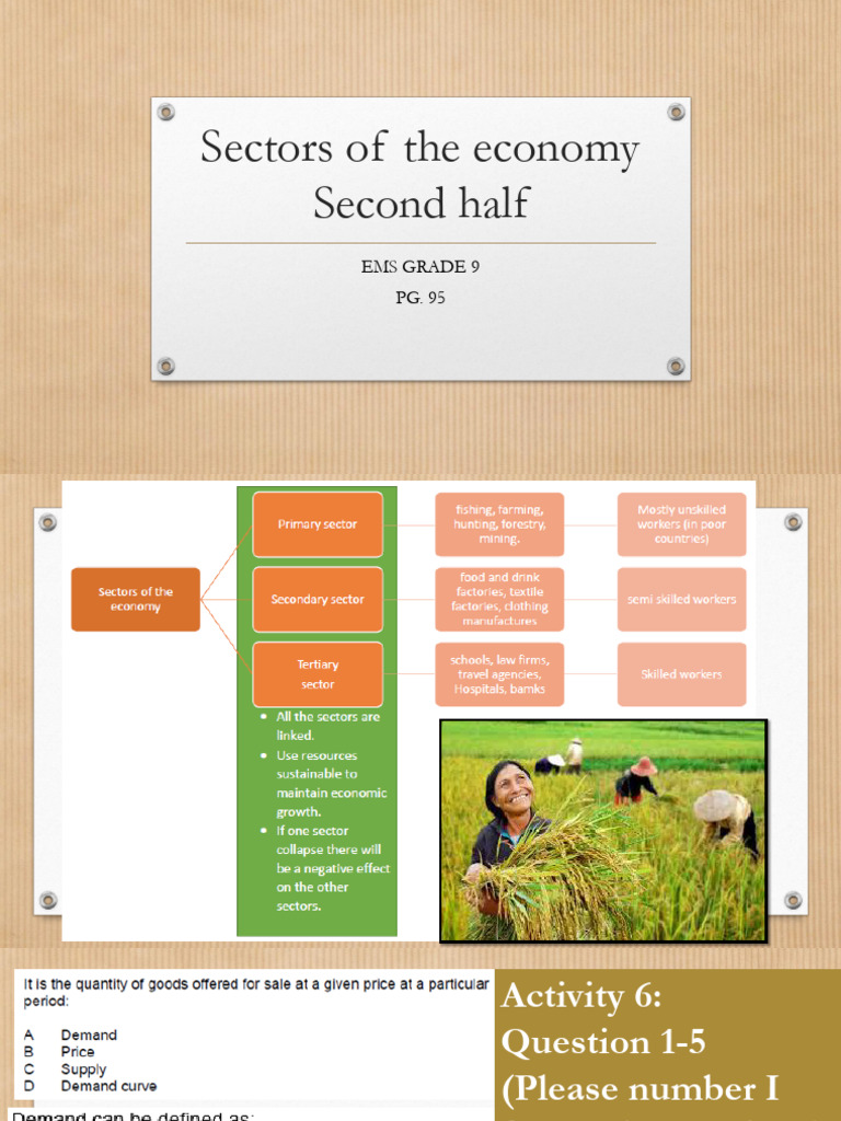 Sectors of The Economy Activity 6 7 | PDF | Developing Country | Resource