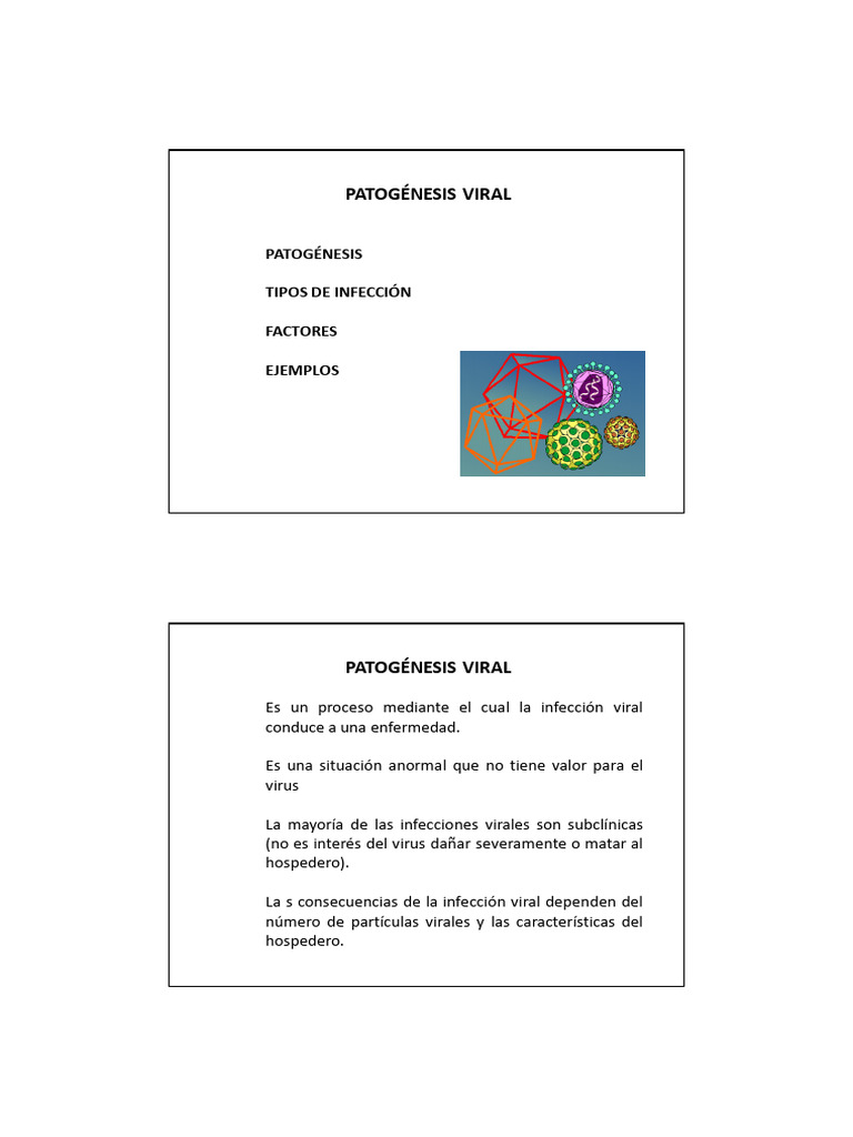 Patogénesis Viral: Infecciones y Factores | PDF | Virus | Sistema inmune