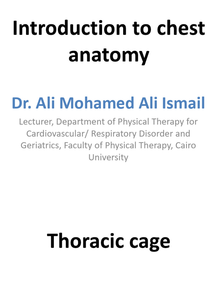 Introduction To Chest Anatomy | PDF