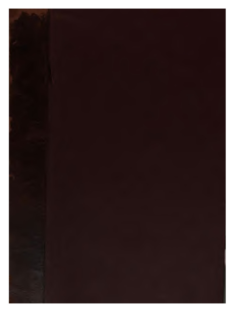 Diccionario de Peruanismos | PDF