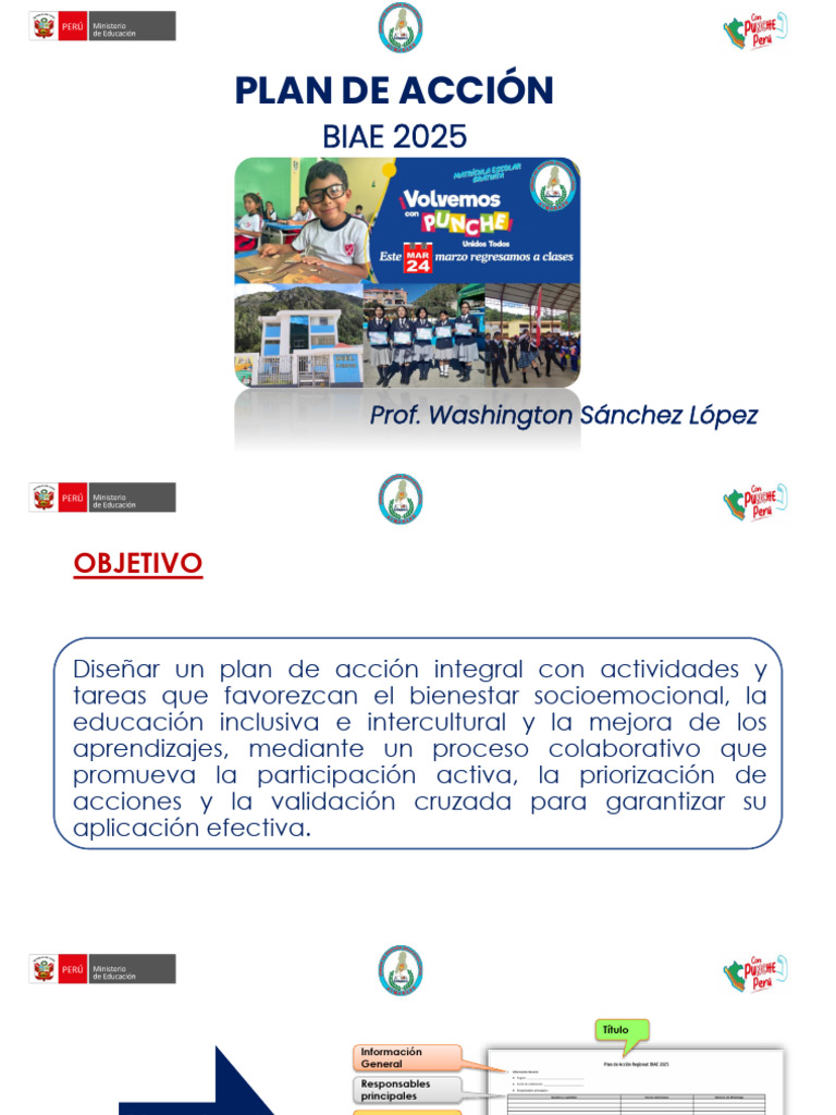 Plan de Acción BIAE 2025 para Educación Inclusiva | PDF | Enseñando ...