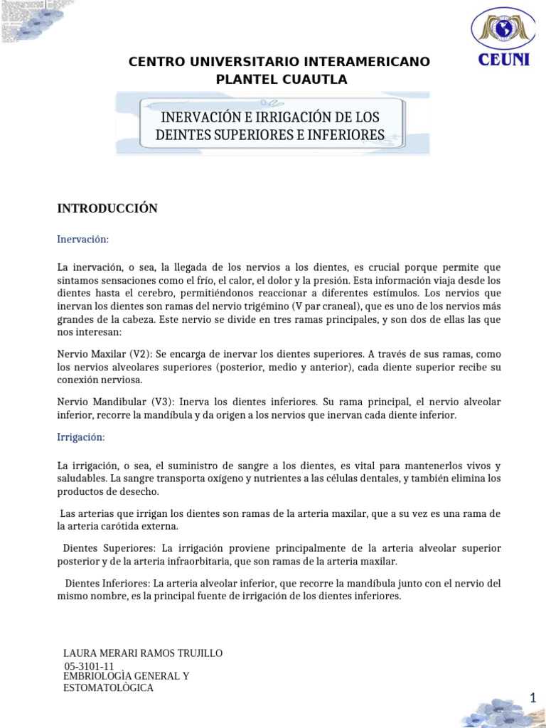 Mera | PDF | Diente humano | Diente